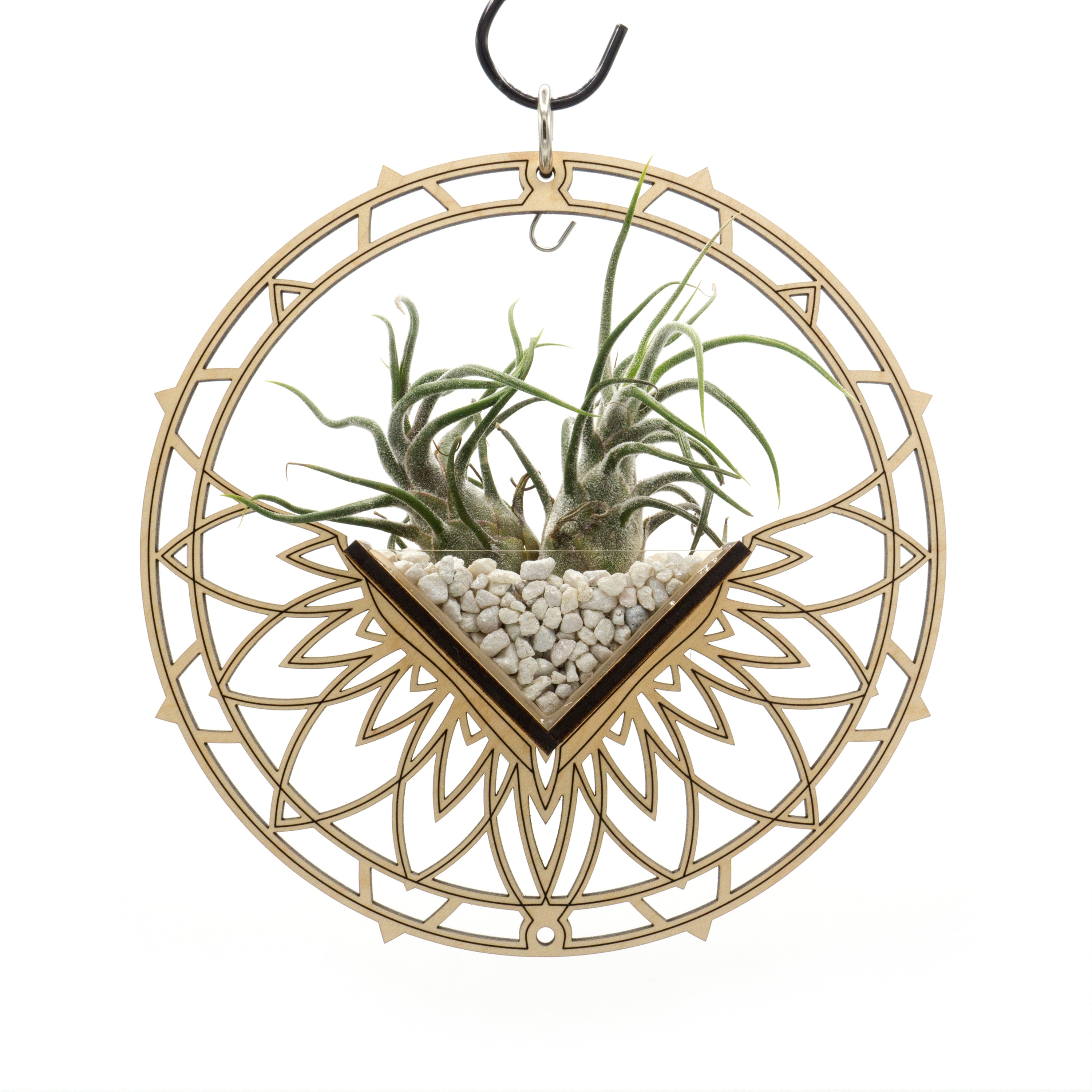 Free Hanging Air Plant Holder - Handcrafted Unique Aerium Planter Home ...